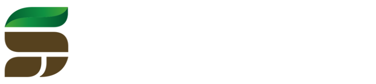 What Is QMHP: What You Should Know - Healthdomainmen.com